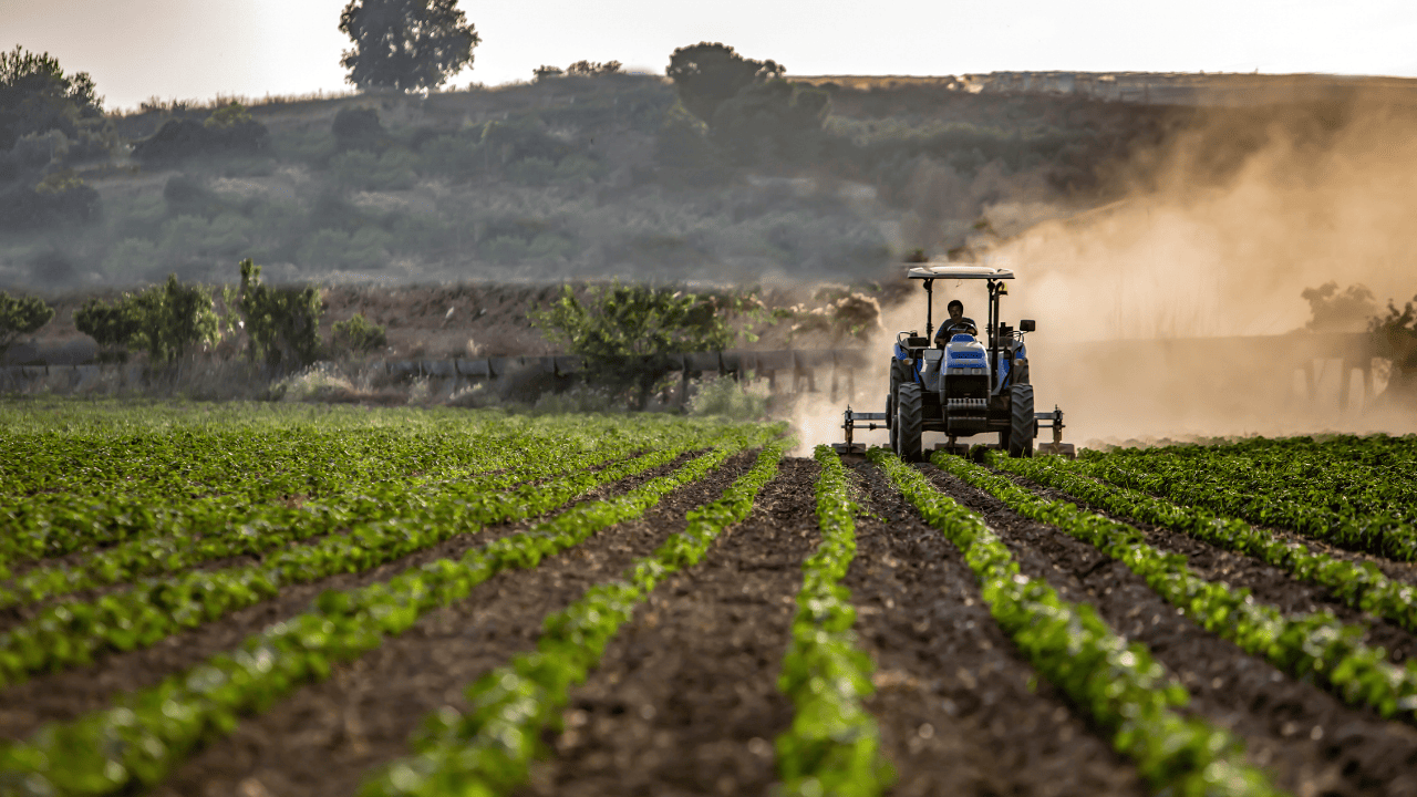 El caso Bunge & Born y la desarticulación estatal - OLEGISAR